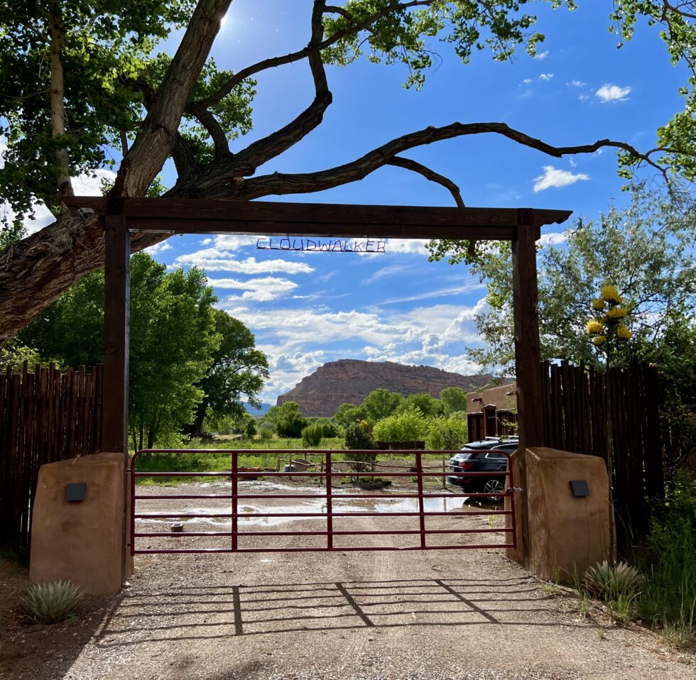 Gallery - CloudWalker Farm