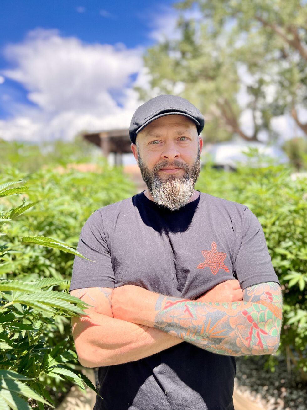 Gallery - CloudWalker Farm