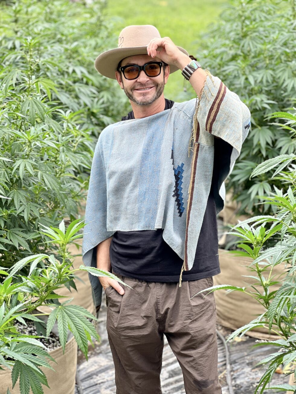 Gallery - CloudWalker Farm